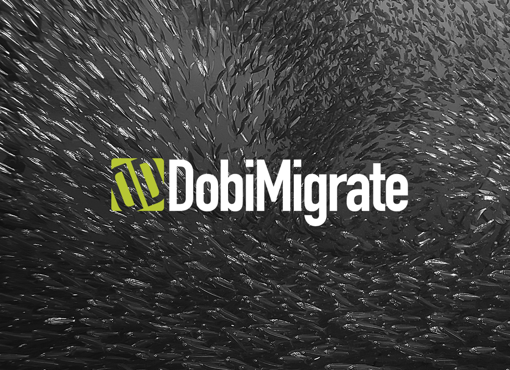 Datadobi Launches Pre-Migration Assessment Service | Datadobi